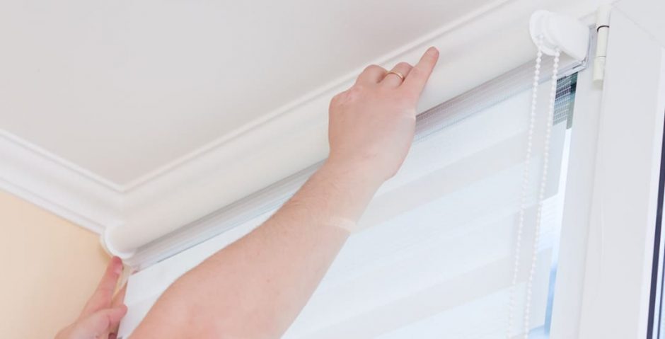 How To Get Flies Out Of Day And Night Blinds: A Comprehensive Guide ...